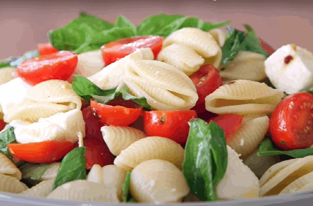 frischer Mozzarella - Die Rezepte